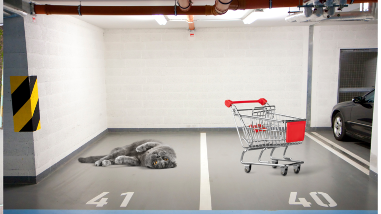 Reverse Stall Parking 101: Beginner Tutorial For New Drivers