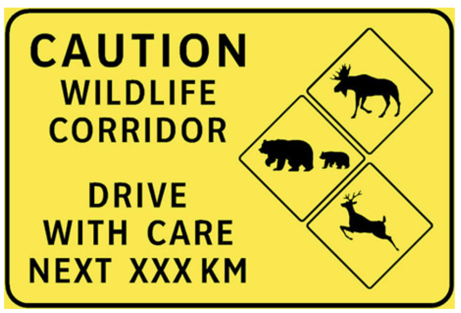 Collisions with Wildlife in BC – How to Report a Collision – BC Driving ...